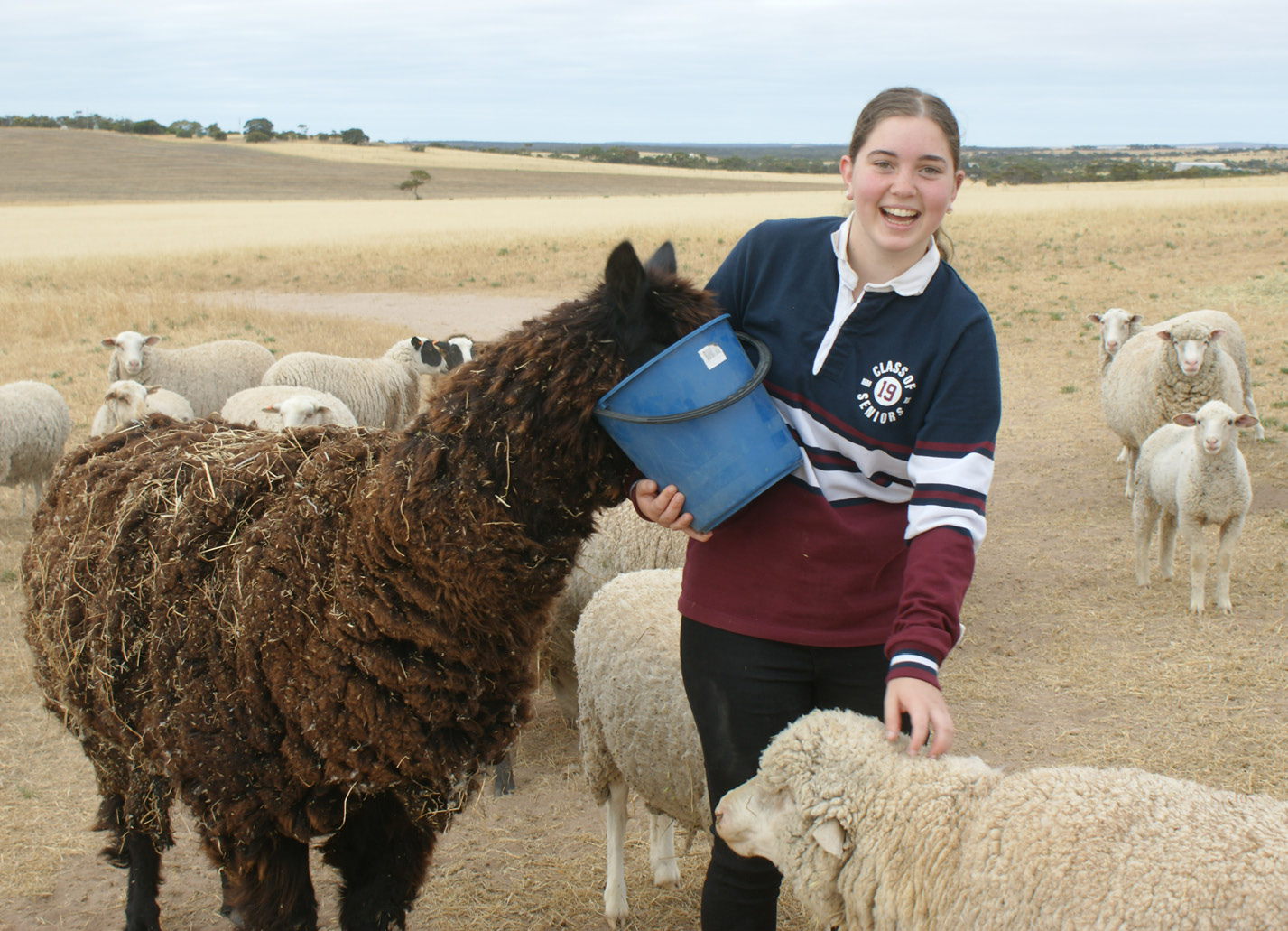 Community supporting Steph’s veterinary dream - South Australian ...