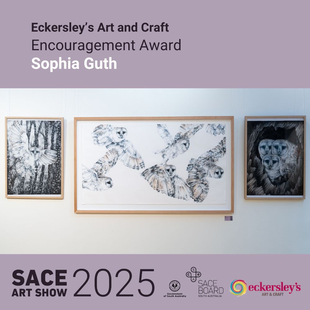 Award winning work - South Australian Certificate of Education