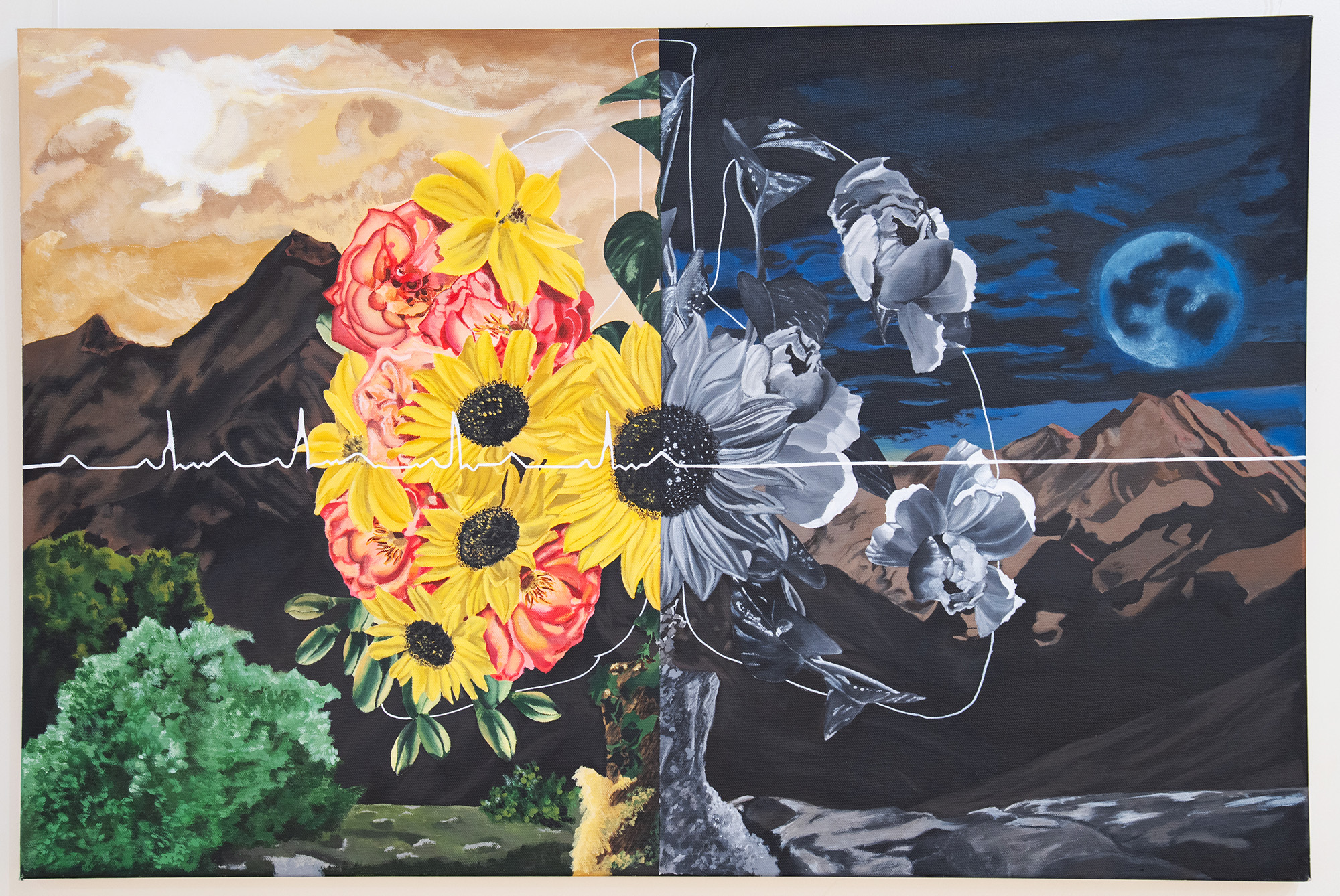 Art and Design Artwork - South Australian Certificate of Education
